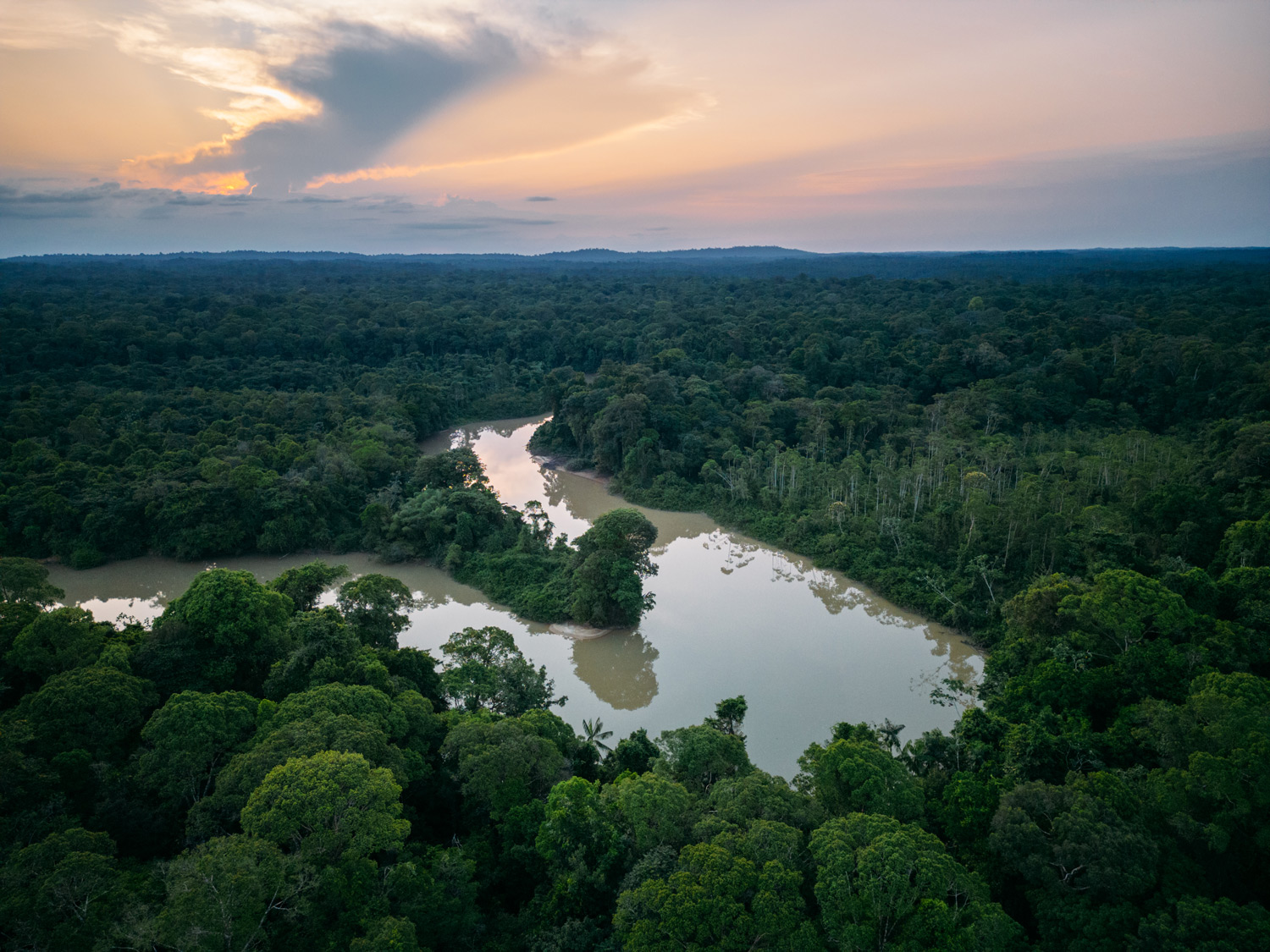 Animations cheval au Royal Ranch - La hulotte terre de Guyane